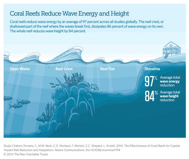 Understanding Reefs part 1: Why reefs matter no matter where you live ...